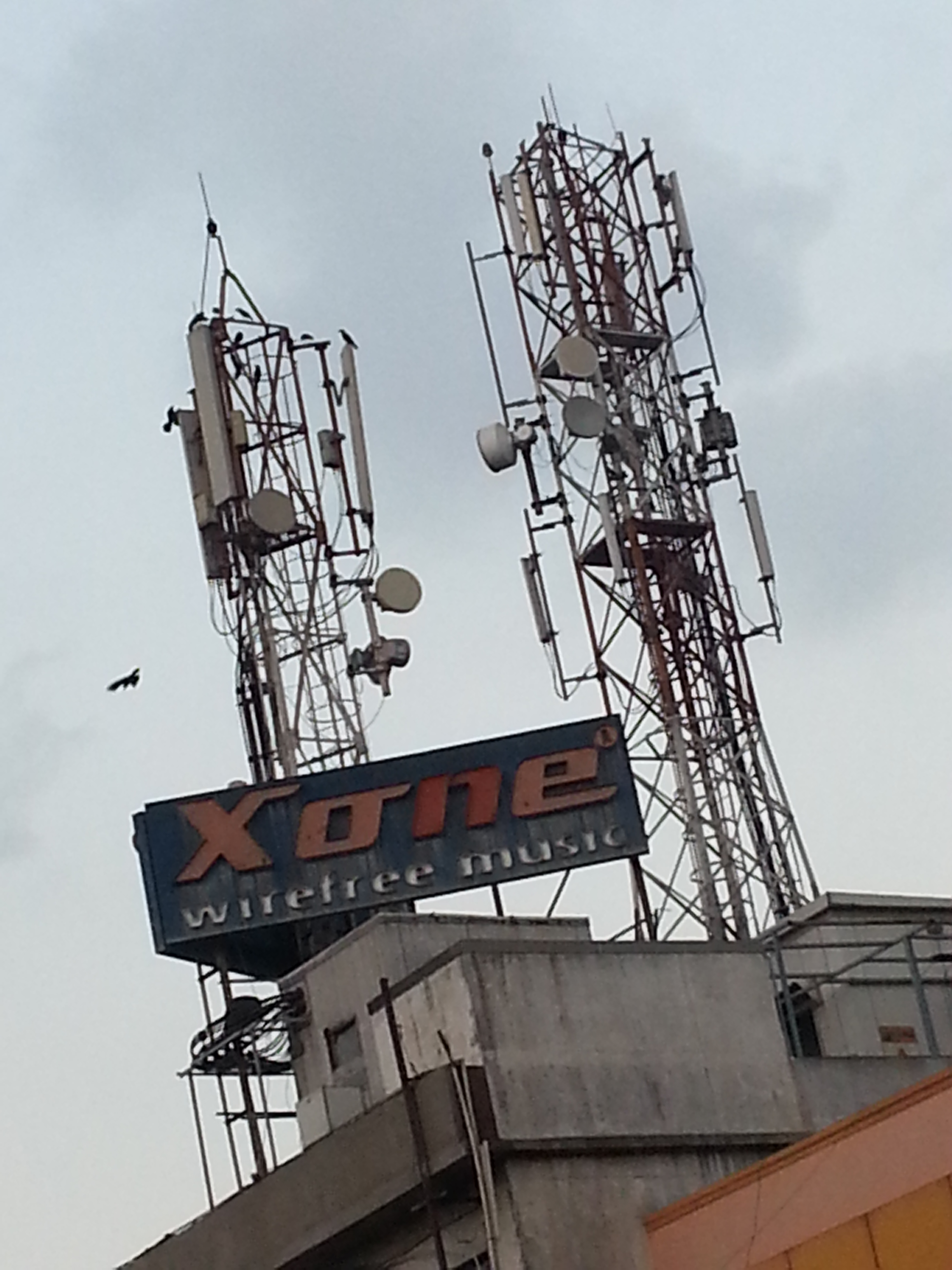 Mobile tower – Science Chronicle