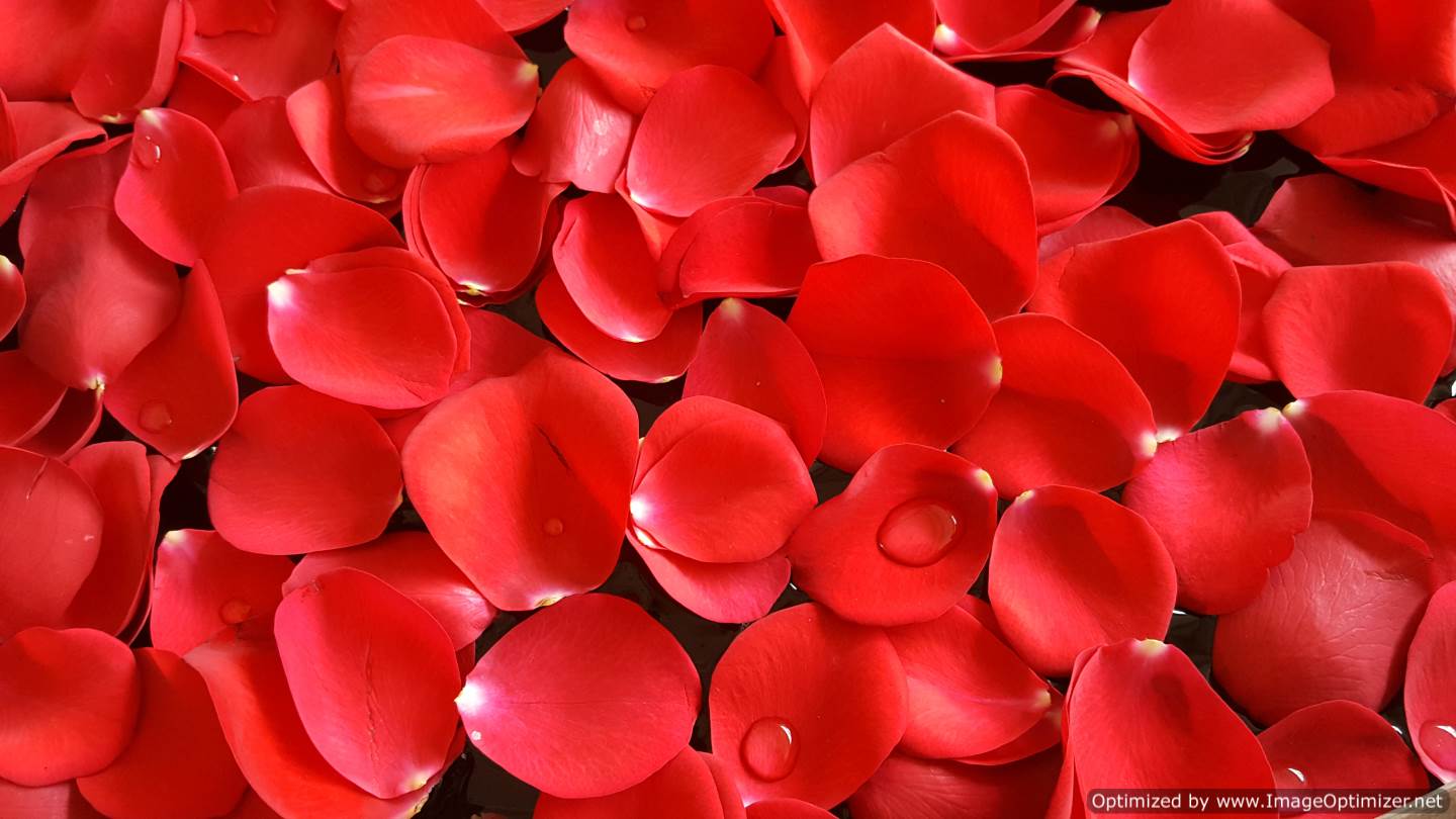 petals-Optimized – Science Chronicle