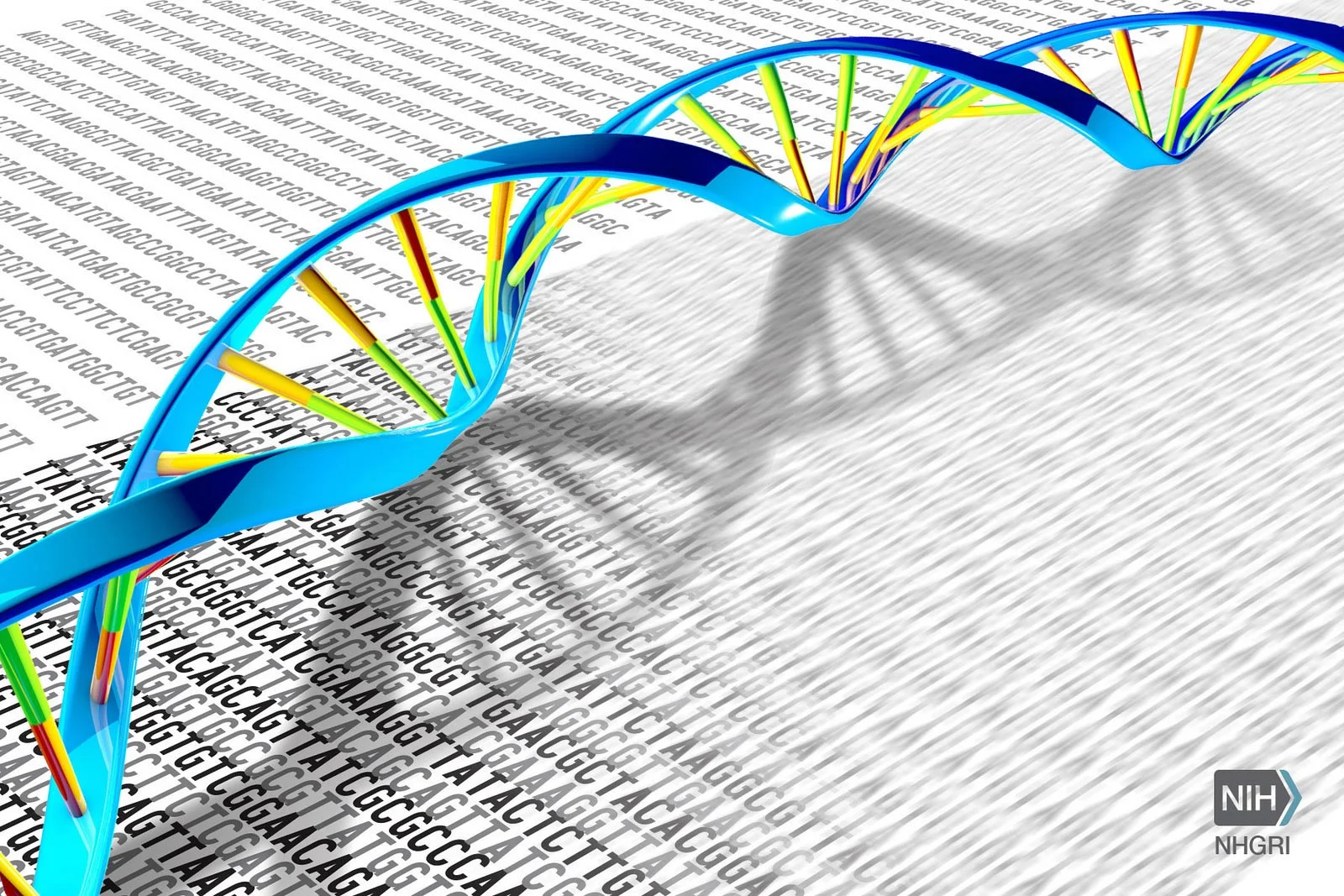 Genome sequence – Science Chronicle